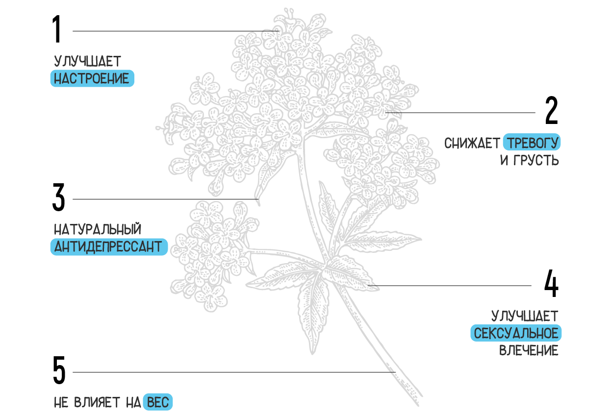 Главная - stressnol-KZ